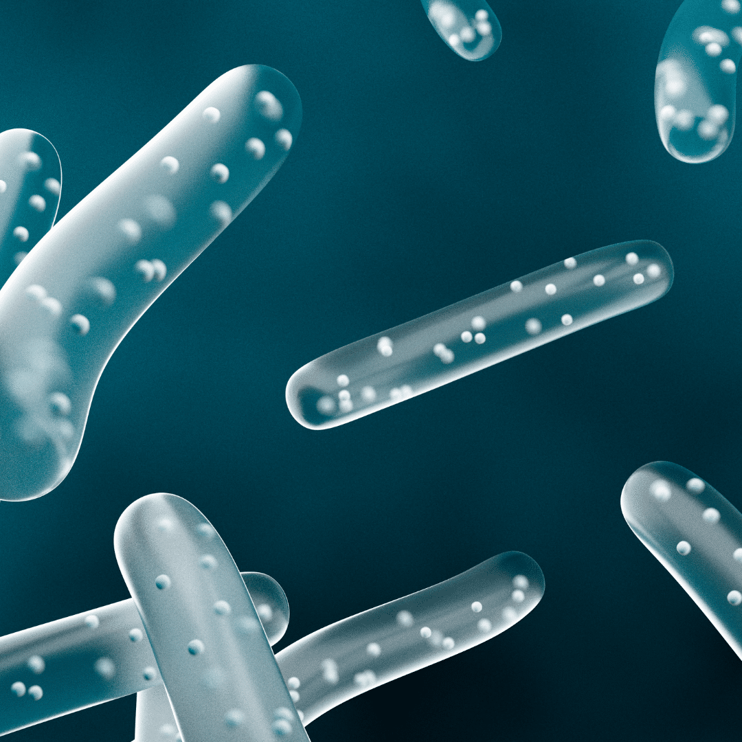 The health benefits of probiotics - Vital Products